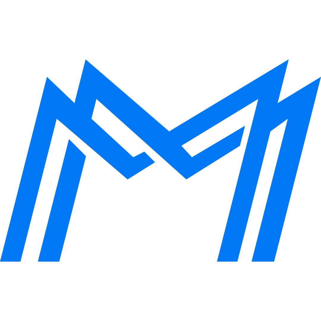 Minority Mindset Store